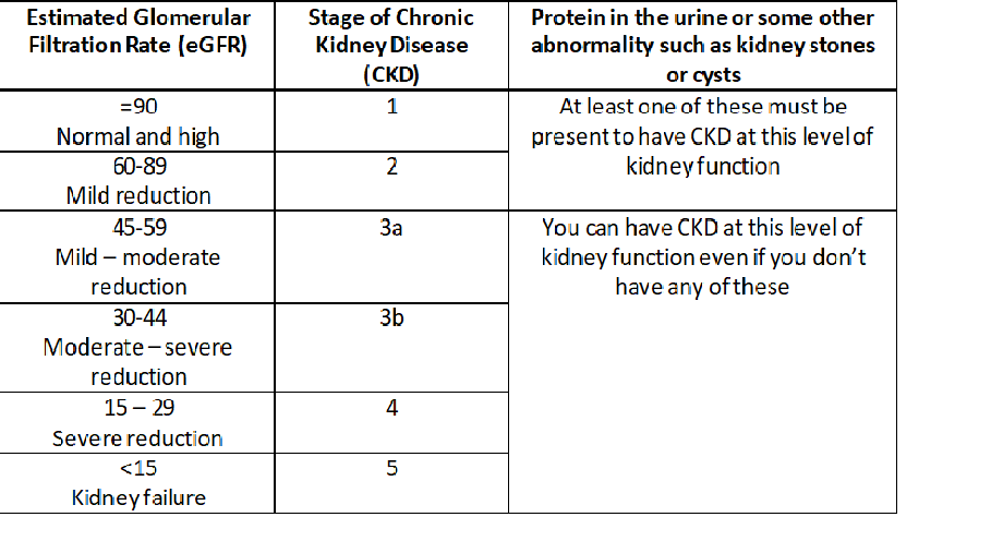 Kidney health - How and why is kidney function monitored?